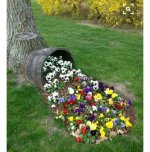 15+Amazing “Flower Garden” Ideas For Your Outdoor Space