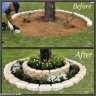 Beautiful Edging Ideas Around Trees
