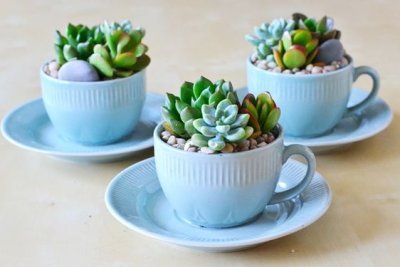 Flower Arrangements In Cups: Creative Ideas Worth Saving
