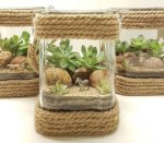 Craft Original Mini Gardens: Unleash Your Creativity